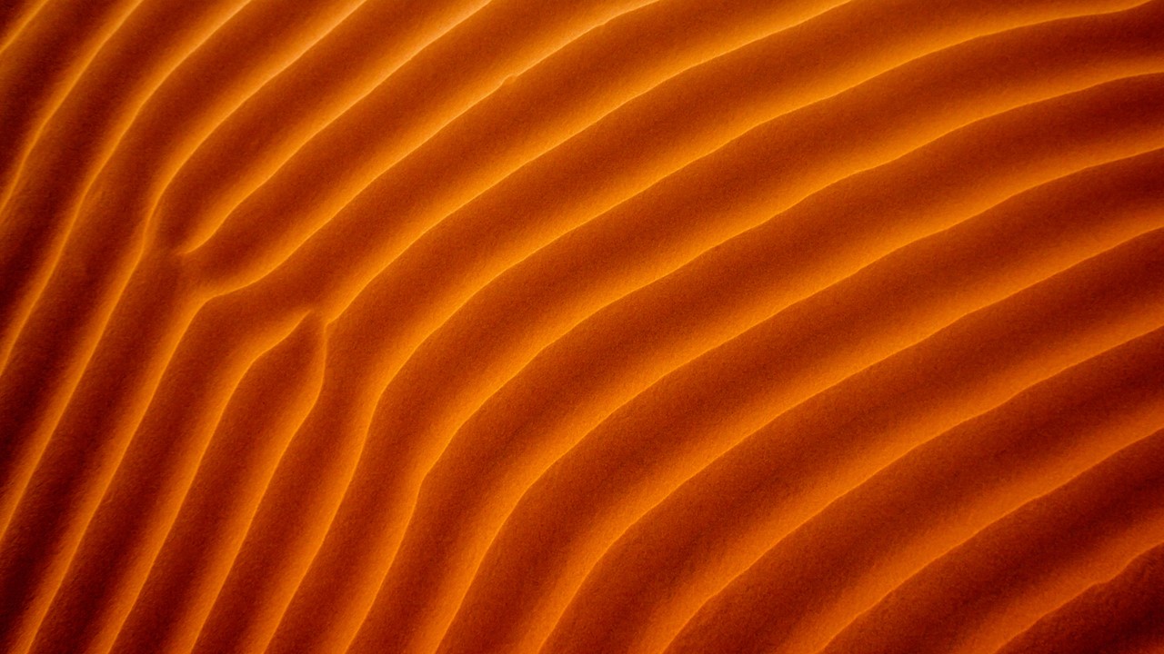 WALLIX recognized again as WALLIX recognized again as