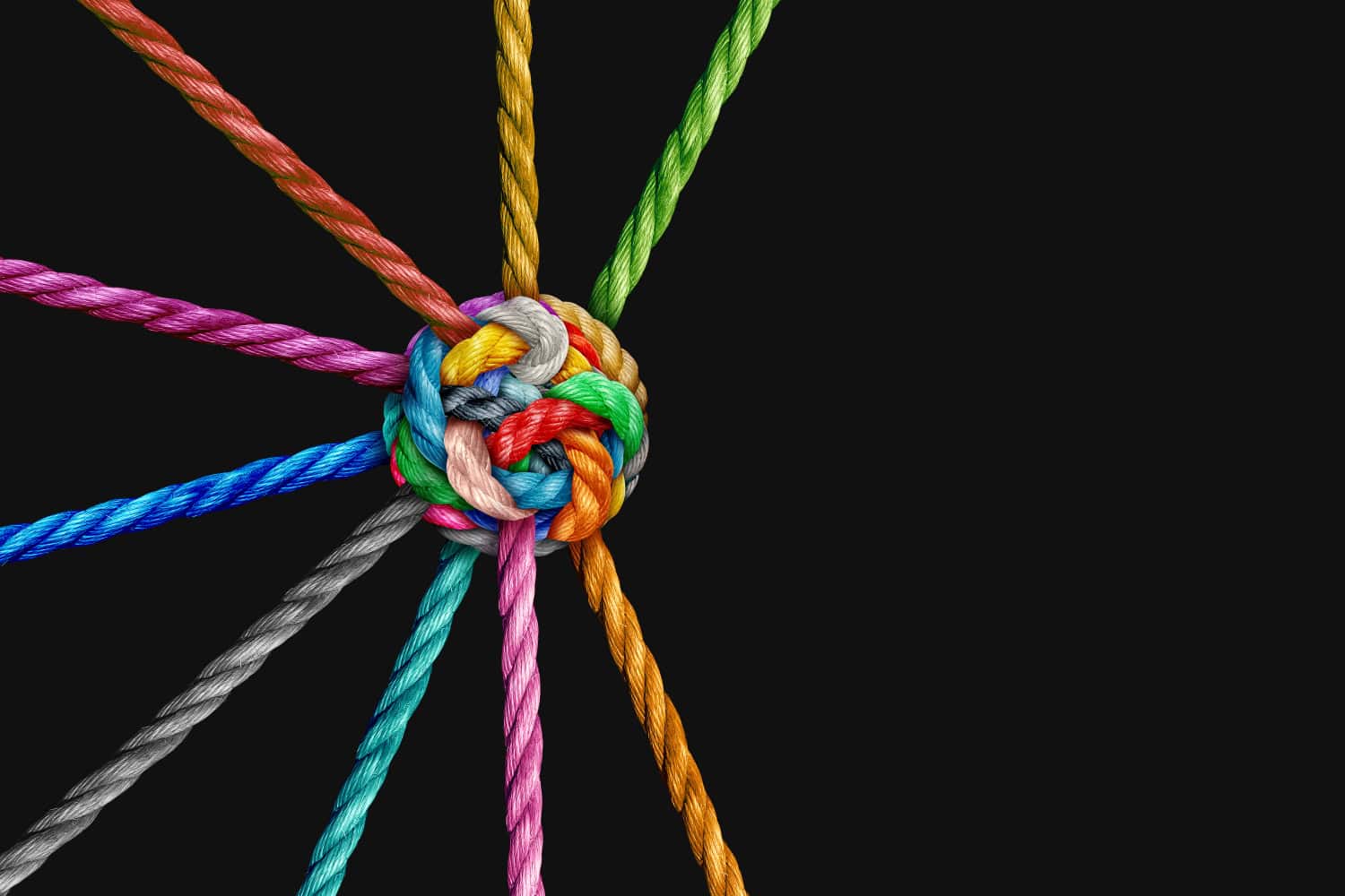 Become a technology partner - WALLIX