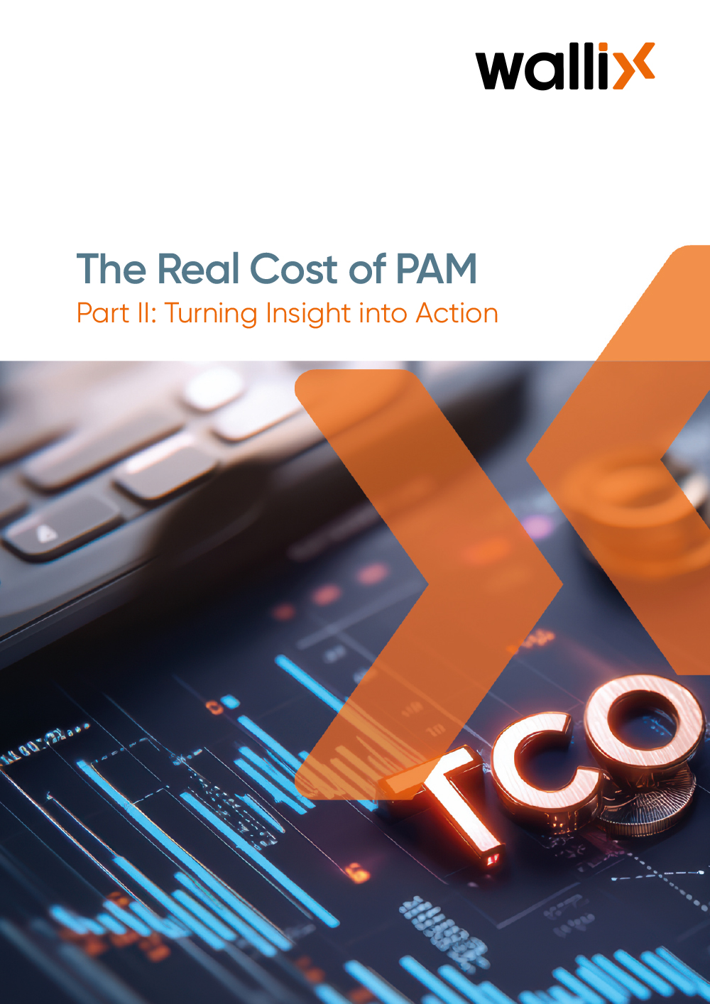 The Real Cost of PAM Part II: Turning Insight into Action - WALLIX